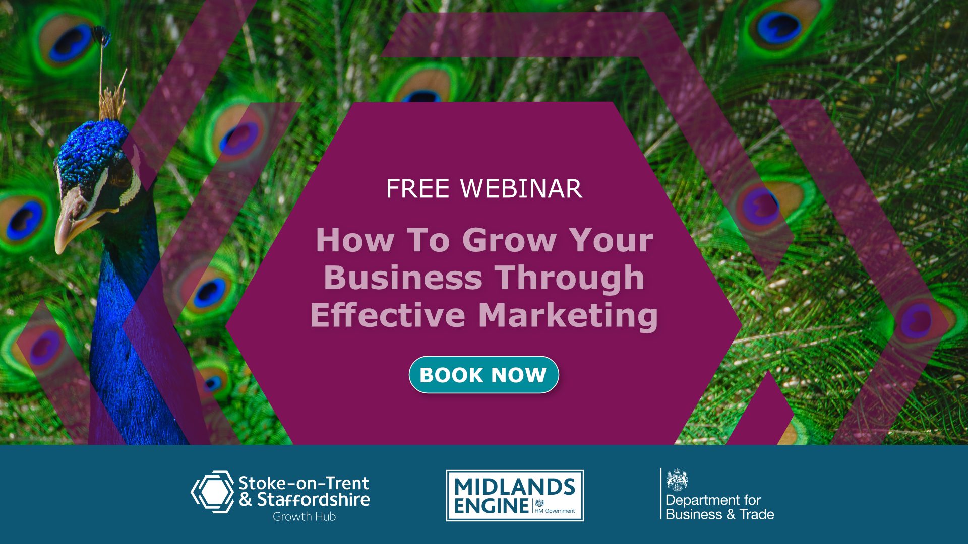 How To Grow Your Business Through Effective Marketing